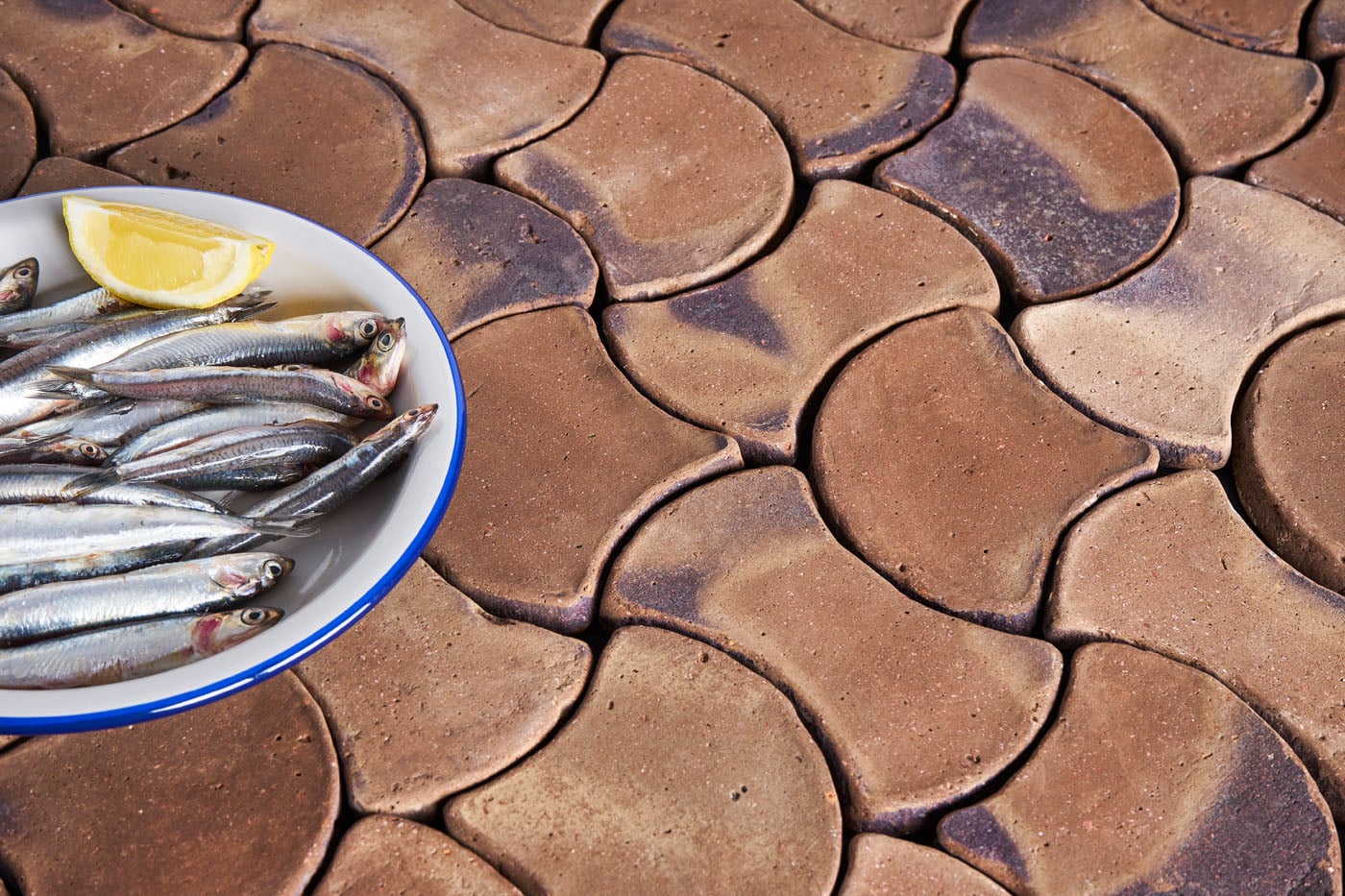 Barro cocido: el testigo de la evolución humana - Todobarro