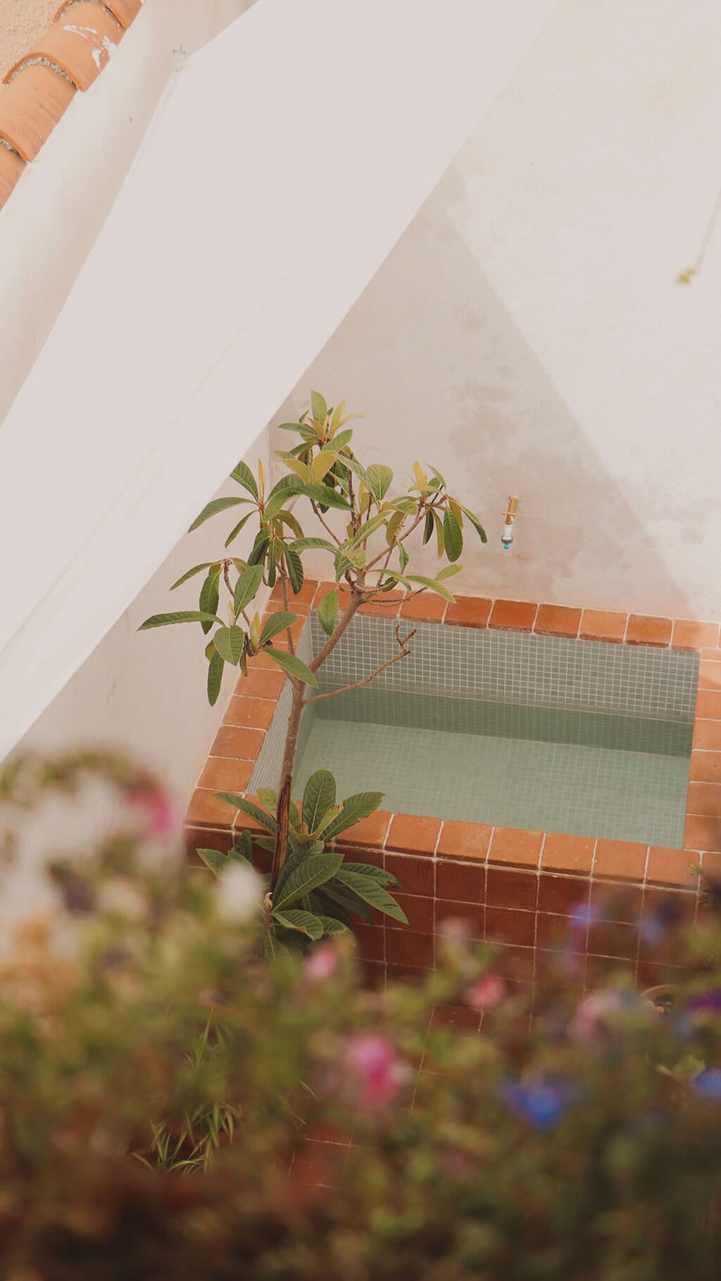 Casa Limón, frescura y viveza en cada estancia - todobarro